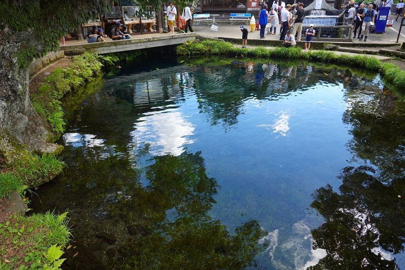 透明感バツグン！忍野八海で禊の巡礼 国内旅行記・山梨編Vol.1｜Tsuchinoco