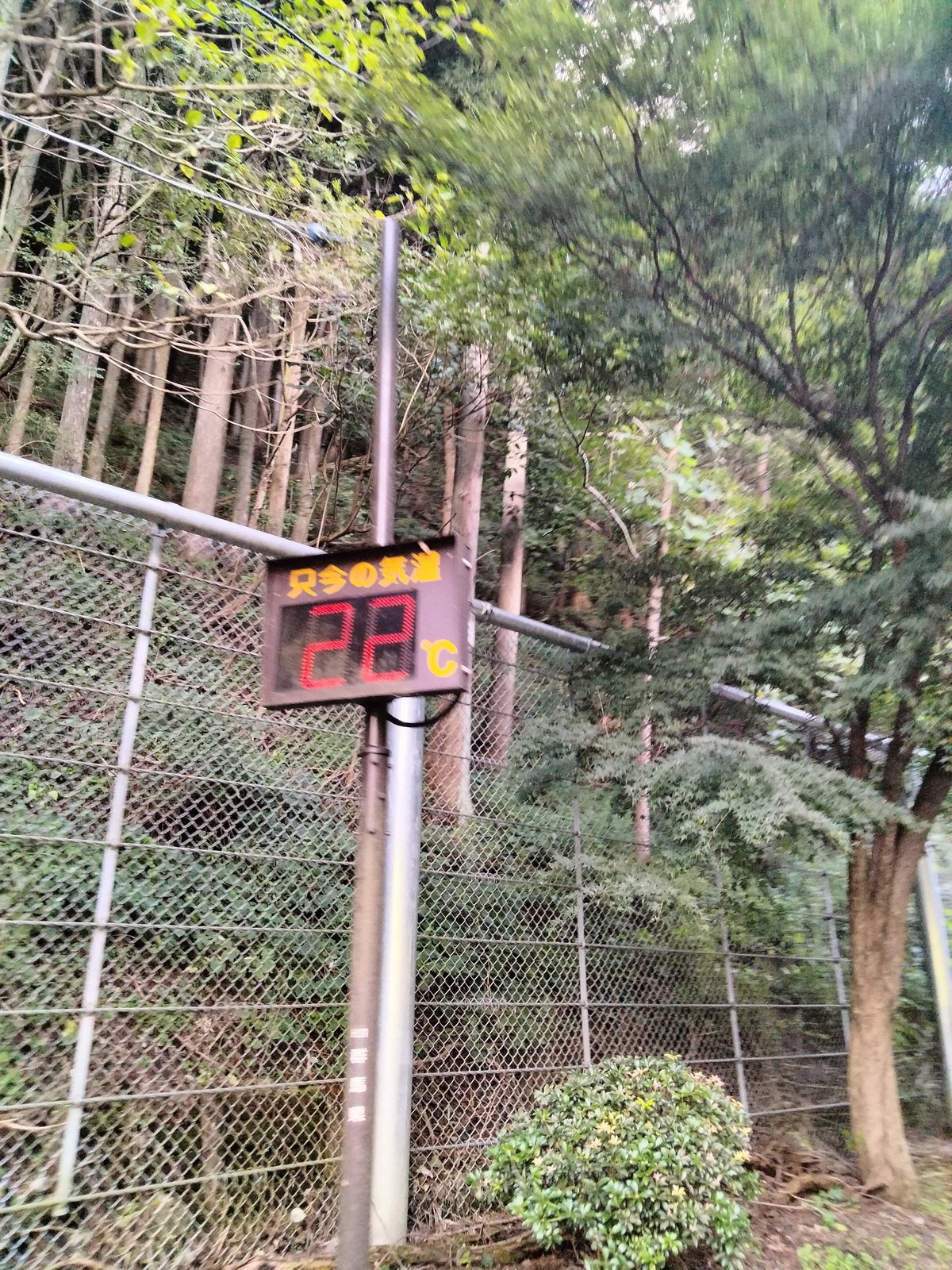 【ロングライド】「酷道」と評される十石峠を越えて。｜ iwamoto yuuma(ゆゆ)