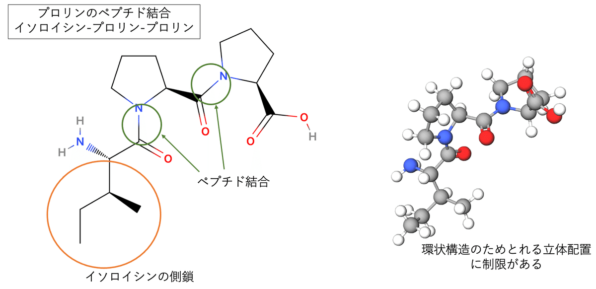 ビールと水〜⑱コロイド中編、真犯人はプロリン｜Shiro Yamada