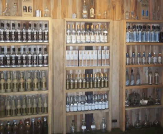 WANIC in Philippines 18-19th Sep｜Tomomi Nishikawa