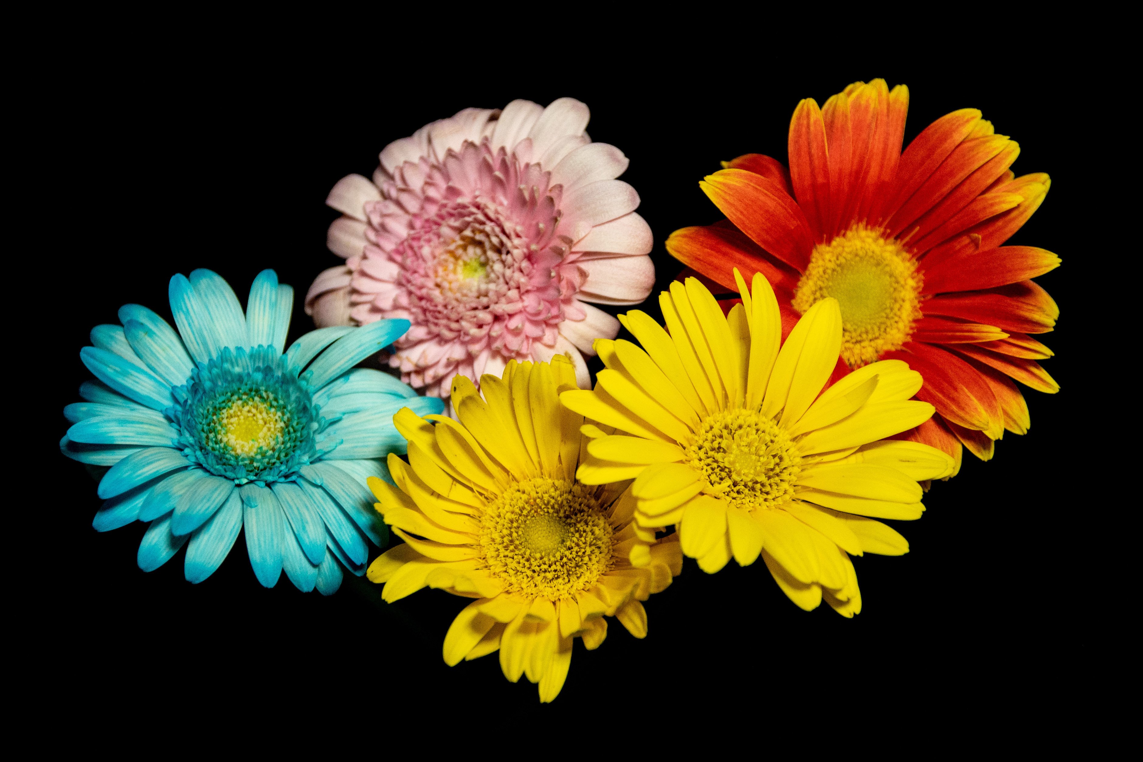 2309XX - 02｜yuki kimura