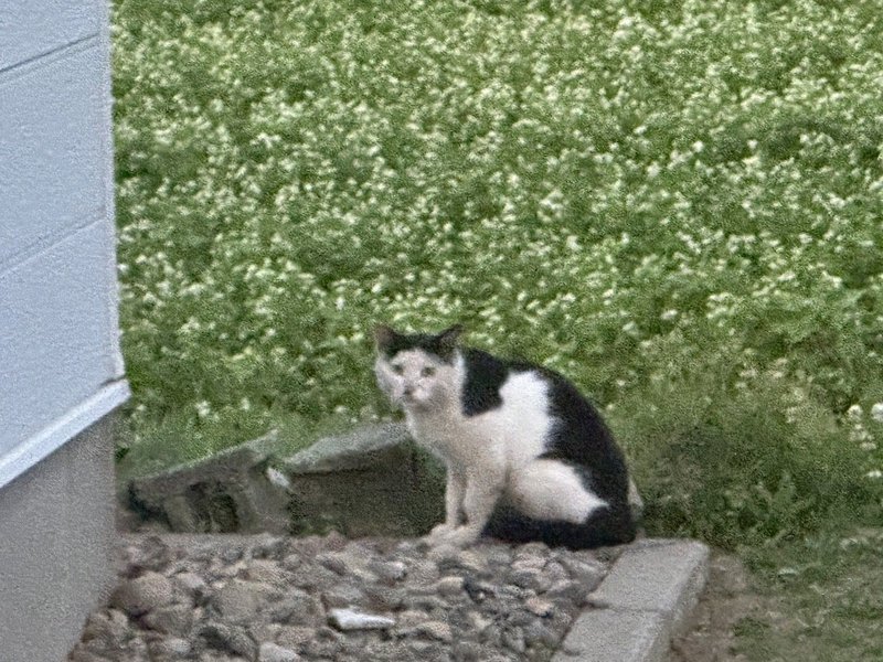 君じゃないんだよなぁ〜Come back HAPPY㉘｜Hiroyuki.M