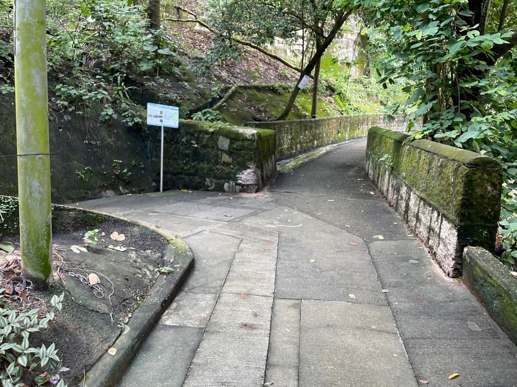 【香港99日間 #30】「ビクトリアピーク」まで歩いて登ってみよう｜エスカルゴ