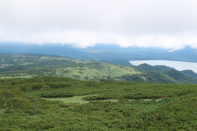 姉サの夏2023 （後編）｜SLEEPY SHEEP