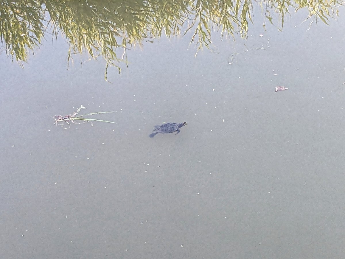 対シーバス戦 4回目 倉部川河口｜kako-jun