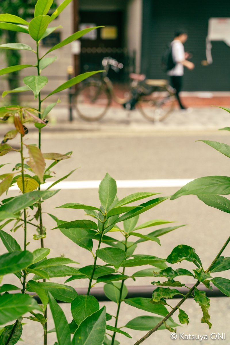 It’s almost dark already.【スナップ写真】｜Katsuya ONI