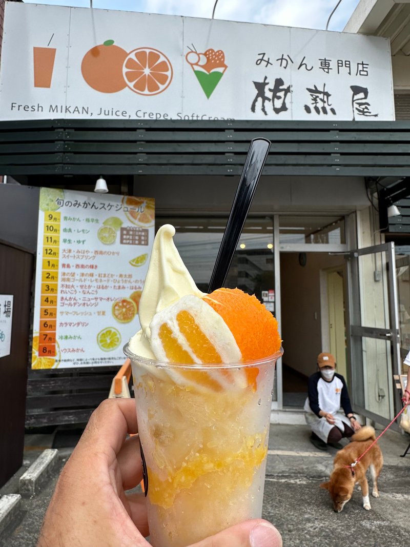 こなつチャンネル(47)通院、4回目！｜NicePapa 平野 尚志