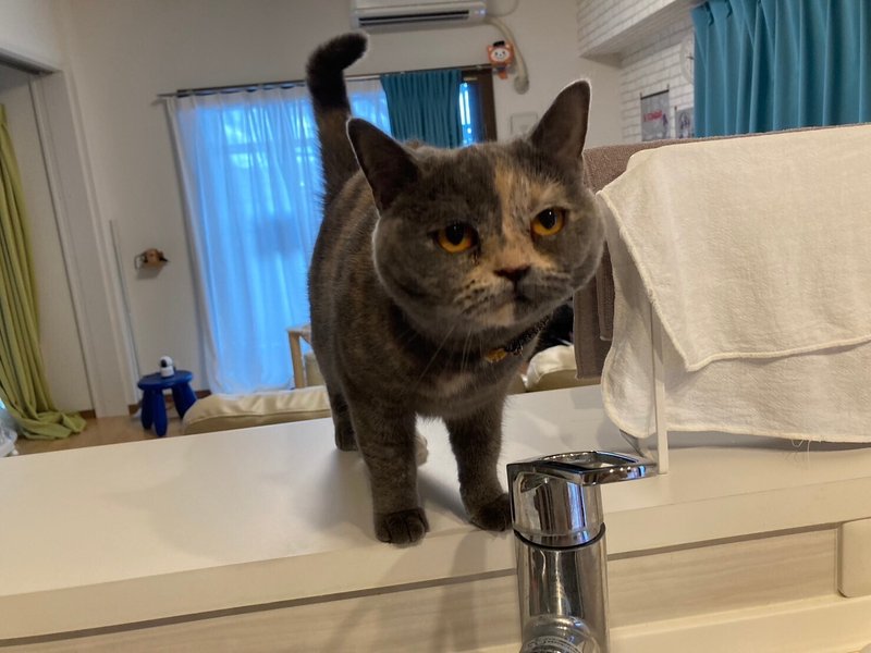 えすこんふぃーるど北海道☆｜minzaburou