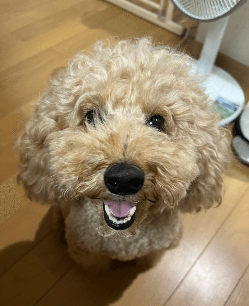 (9/24)💡マルハン池袋本館/SBの考察｜Suke@東京スロット