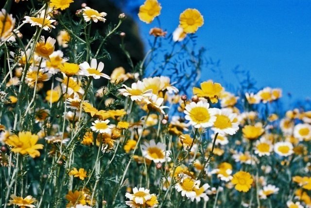 『知ってる？』”徒然なるnoter”うぉんのすけさんをご紹介します♬｜習慣応援家 shogo