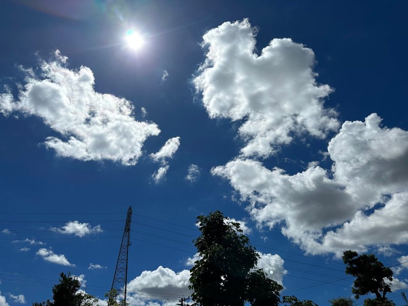 こなつチャンネル(48)ぼくは元気だよ！｜NicePapa 平野 尚志