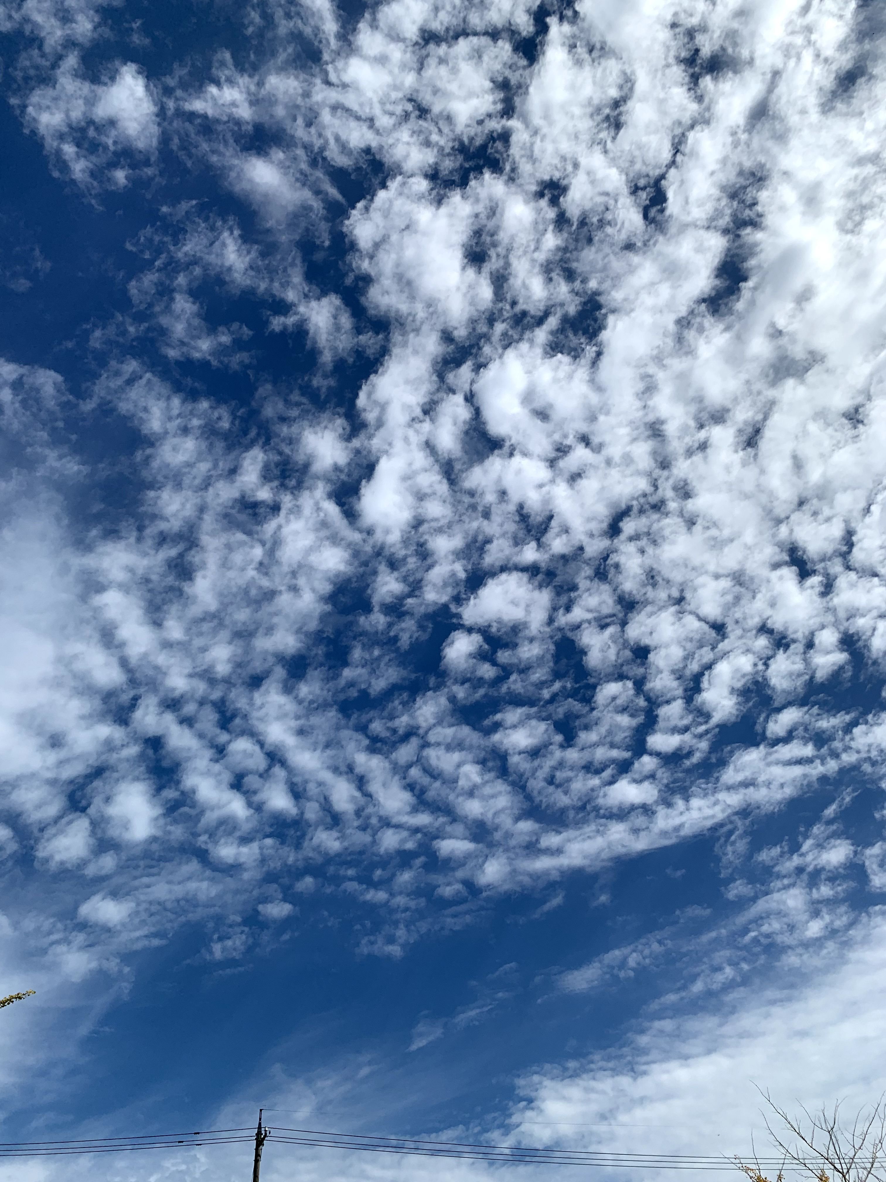 そろそろ、空が秋っぽくなってきた｜yasu