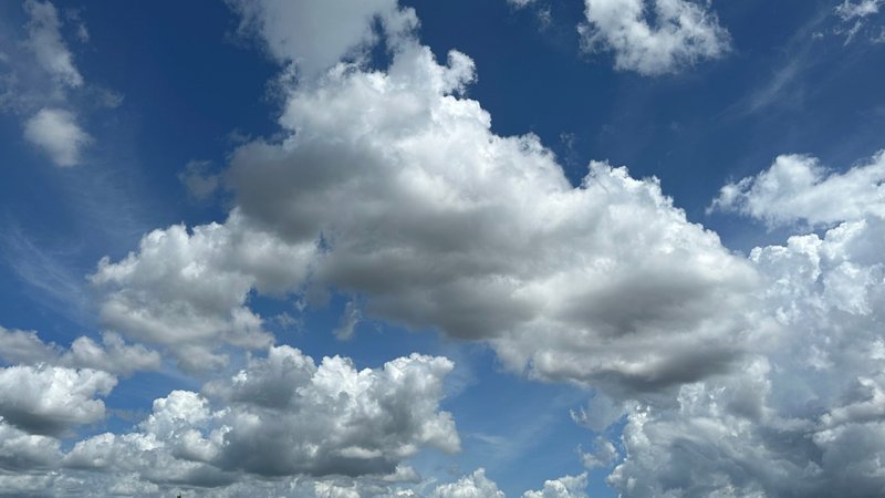 こなつチャンネル(48)ぼくは元気だよ！｜NicePapa 平野 尚志