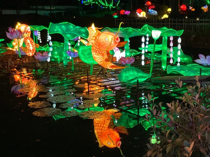 黄檗ランタンフェスティバル（20230122）｜やまいつ