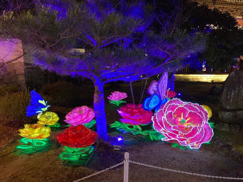 黄檗ランタンフェスティバル（20230122）｜やまいつ