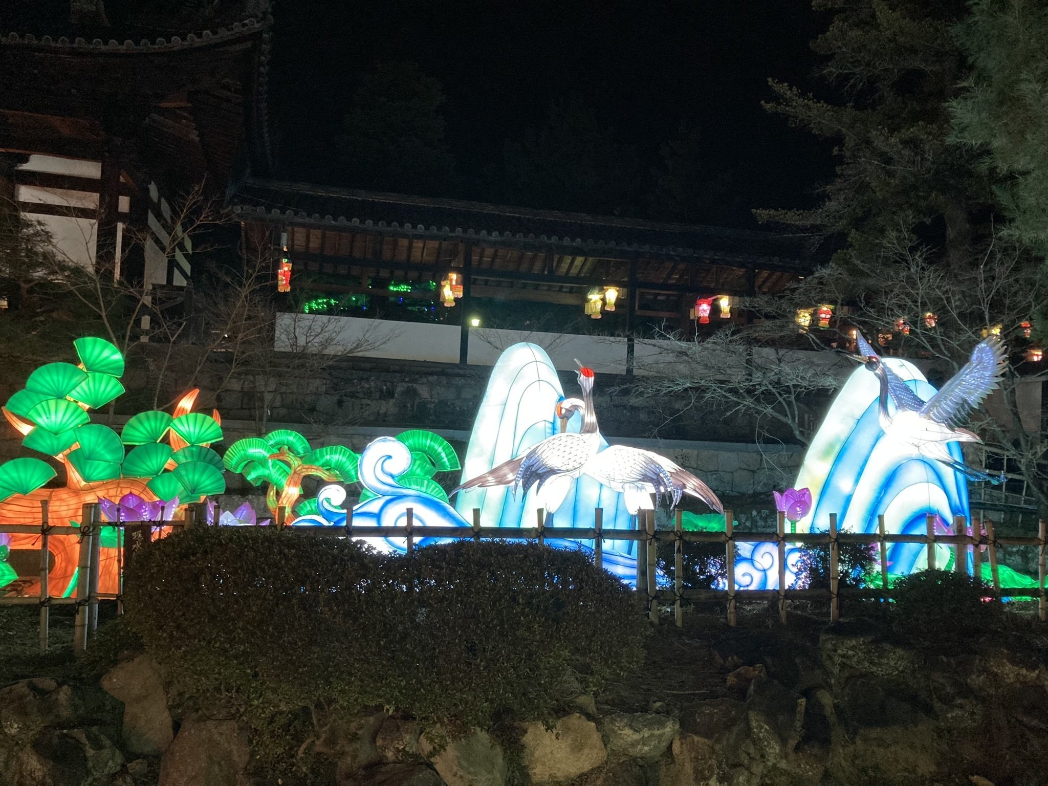 【アルバム】黄檗ランタンフェスティバル20230122｜やまいつ