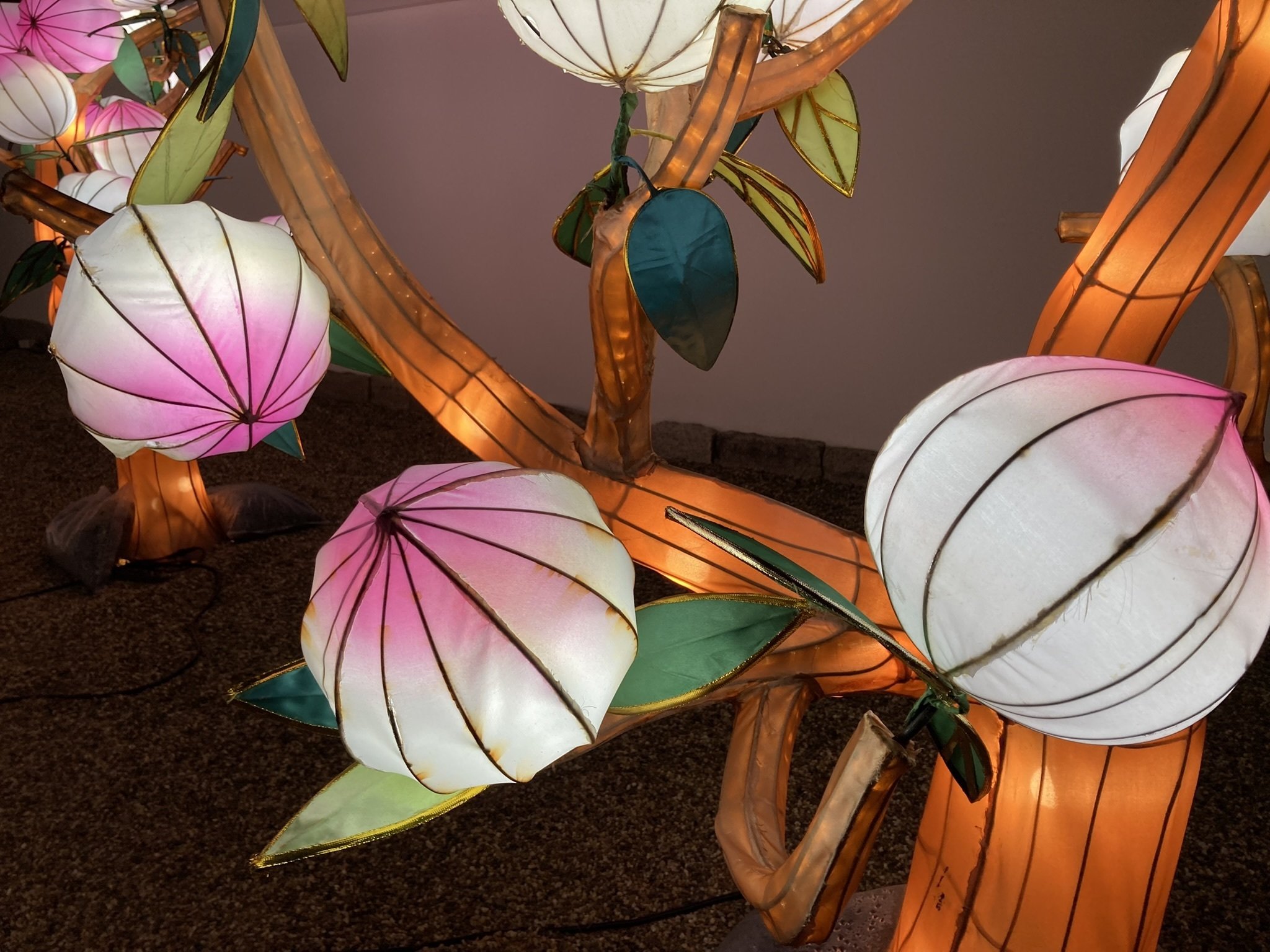 【アルバム】黄檗ランタンフェスティバル20230122｜やまいつ