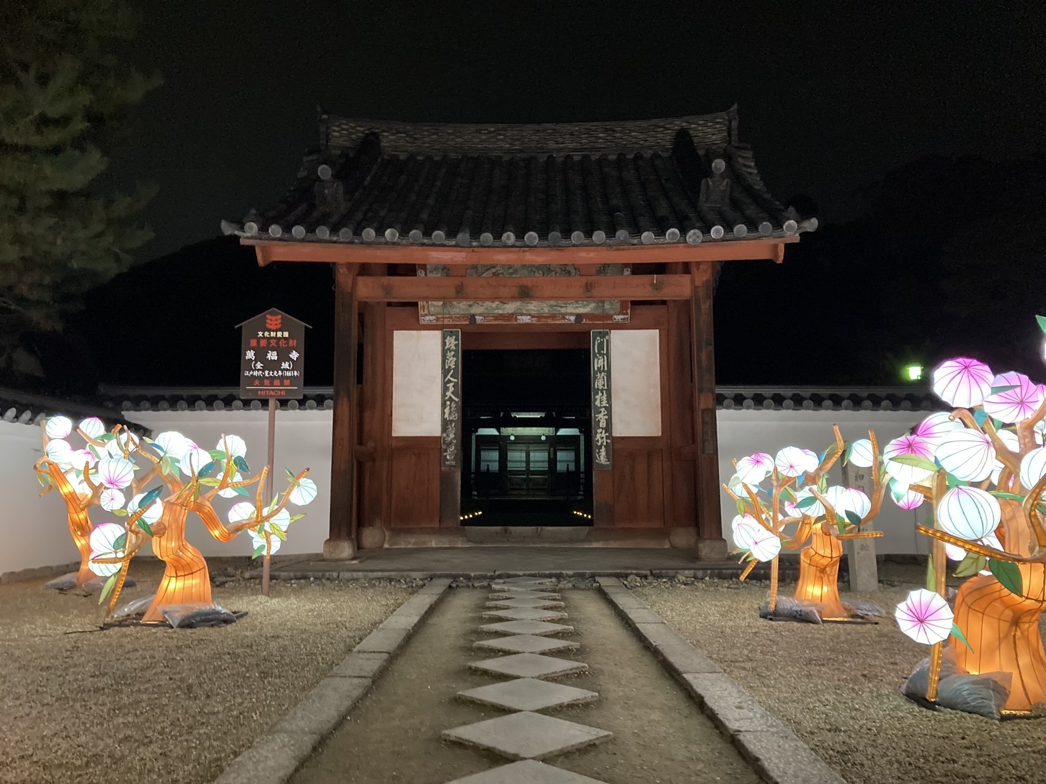 【アルバム】黄檗ランタンフェスティバル20230122｜やまいつ