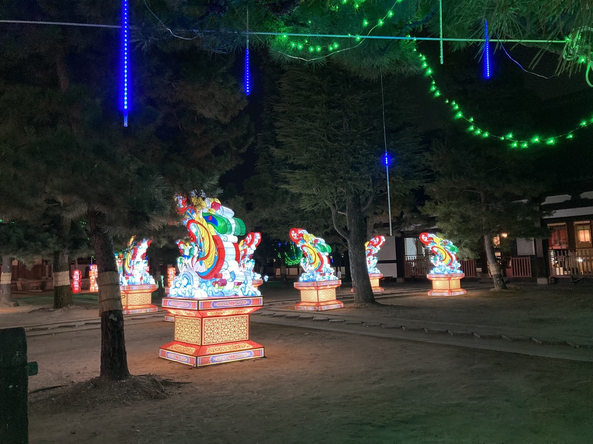 【アルバム】黄檗ランタンフェスティバル20230122｜やまいつ