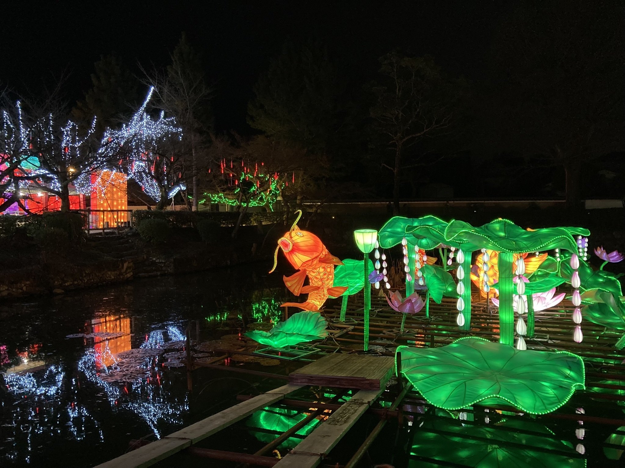 【アルバム】黄檗ランタンフェスティバル20230122｜やまいつ