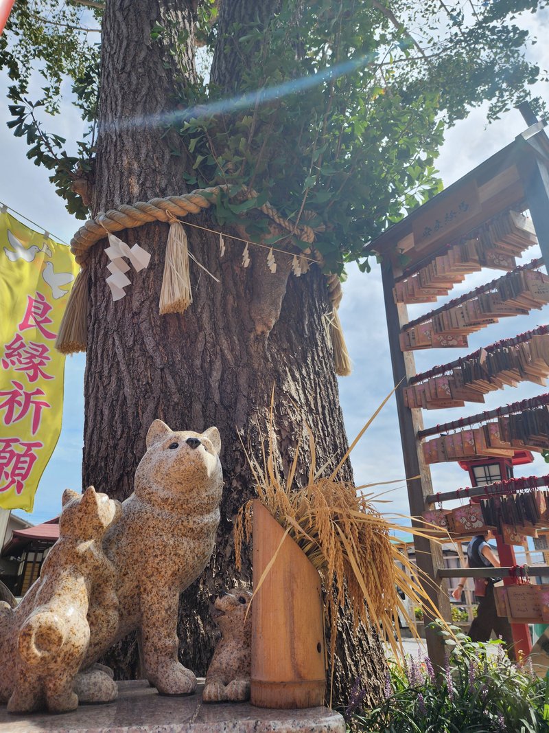 さぁ一緒に願いをのせて☆☆☆｜ゆっきぃ