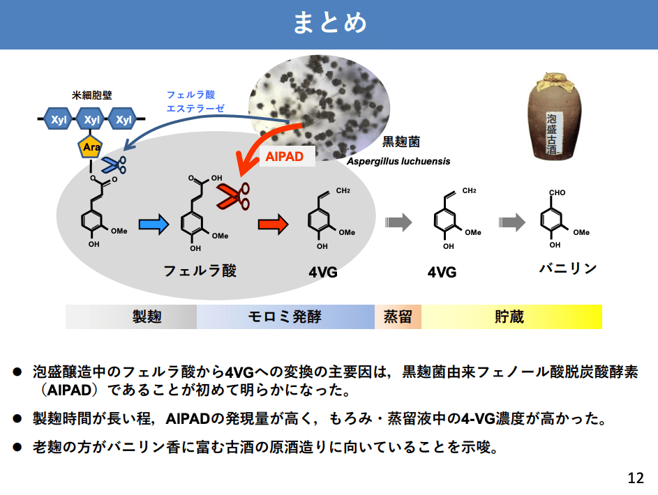 #09 本格泡盛と料理との相性について｜soncho_sake