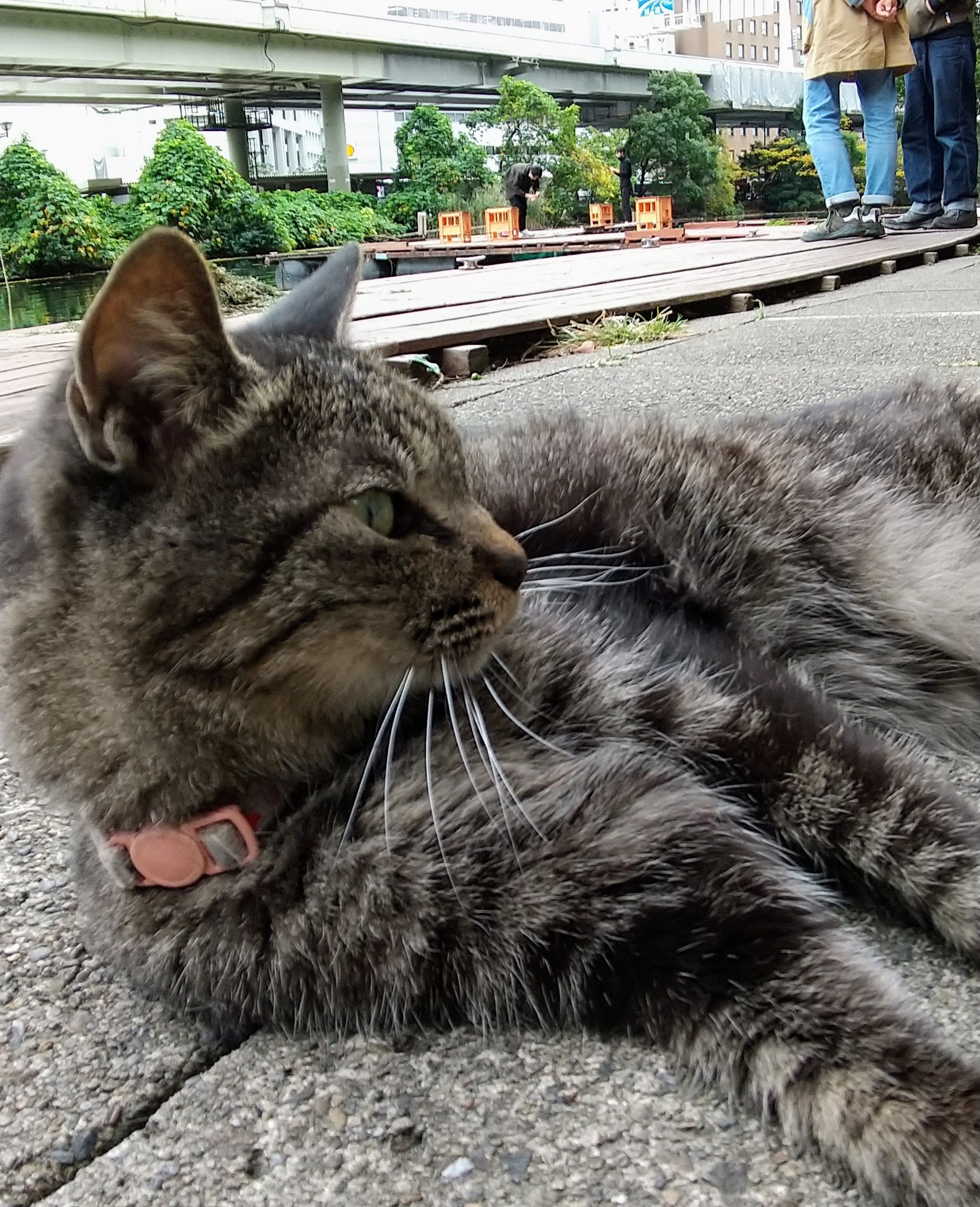 釣り堀のアイドル｜Mika Abe