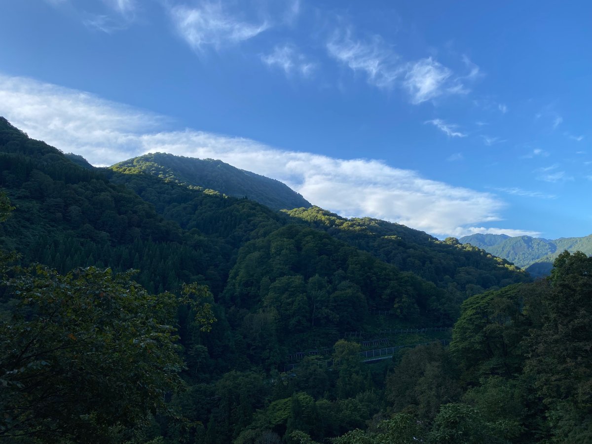 晴天、秋深まる。｜WMSの気まぐれnote