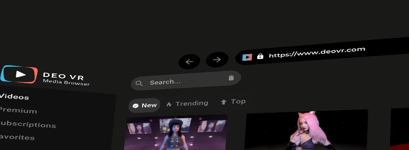 (2023.09.21) DeoVR で VR ビデオをライブ ストリーミング - 8K も含まれます!｜DeoVR JAPAN @ VR & Metaverse