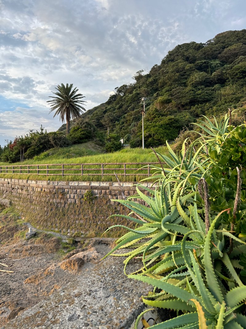 iPhone 15 Proで写真を撮るのが楽しすぎる｜けこぜろ / ke-ko0