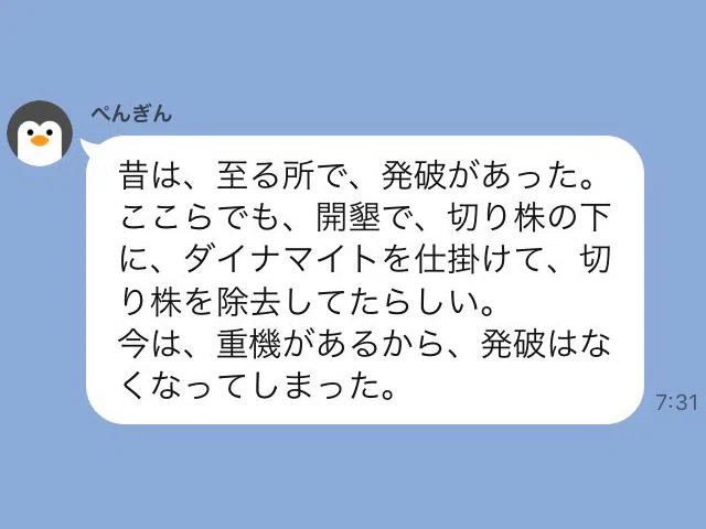 岩舟爆破体験ツアー 体験記｜miecha