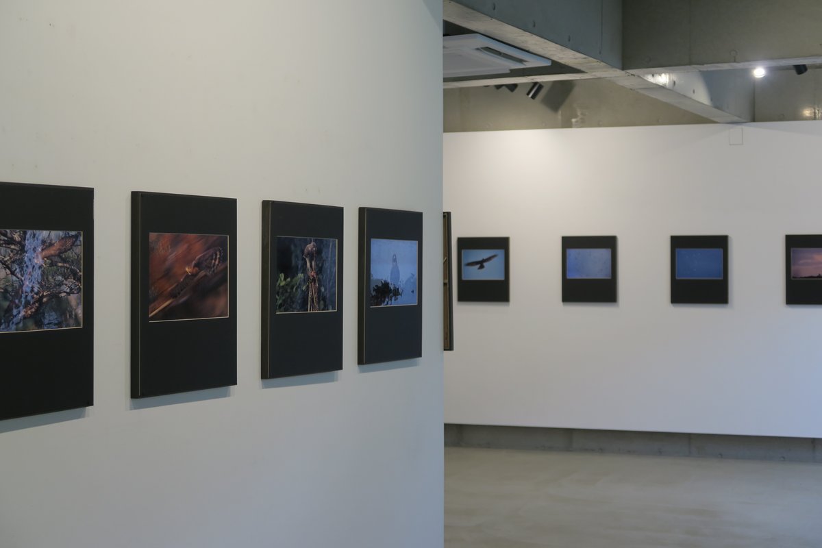 過ぎた時間がどこへ行くのか，そんなの誰にもわからない｜Yosuke Matsubara