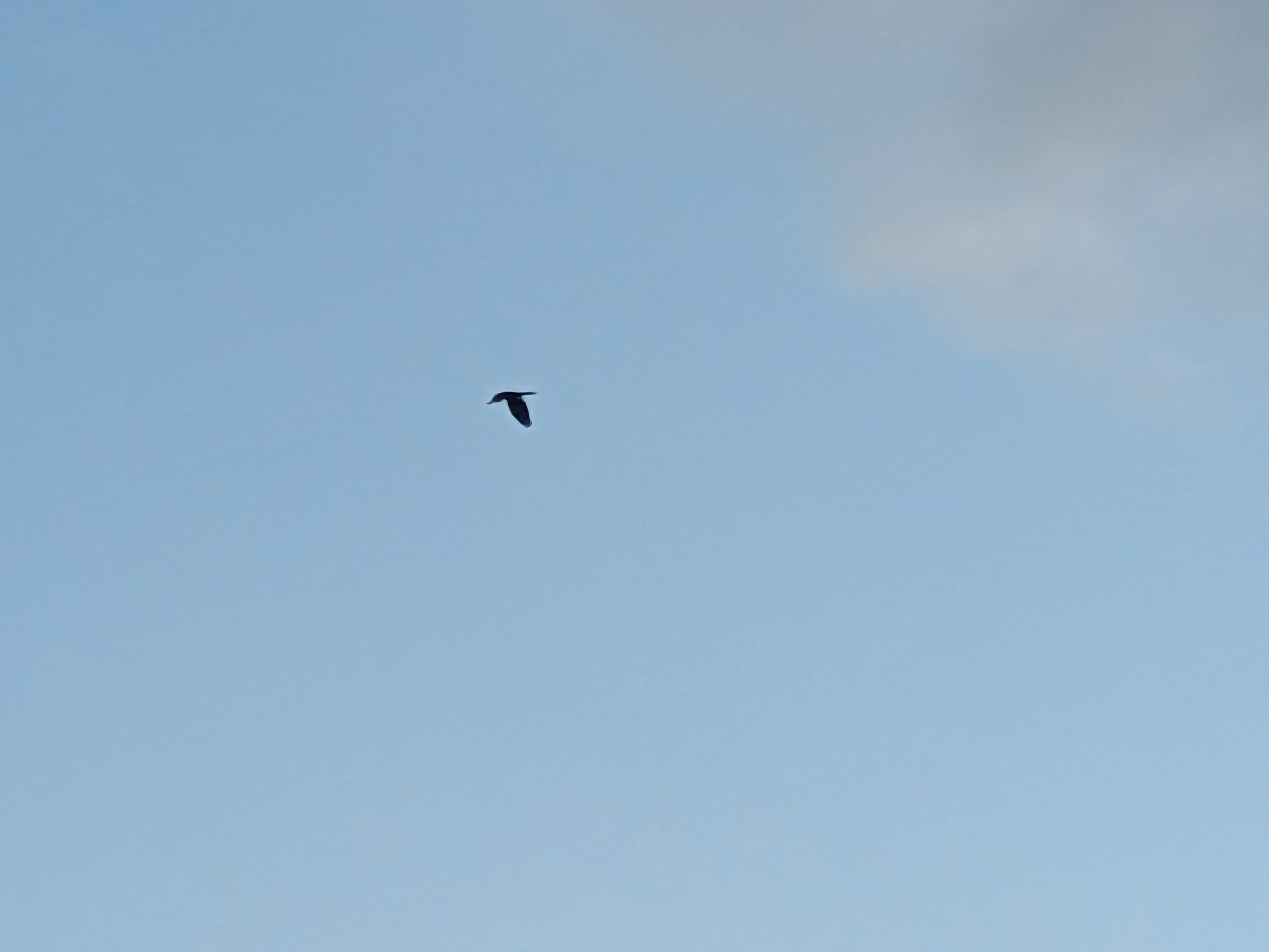 今朝の空模様｜ichiro70