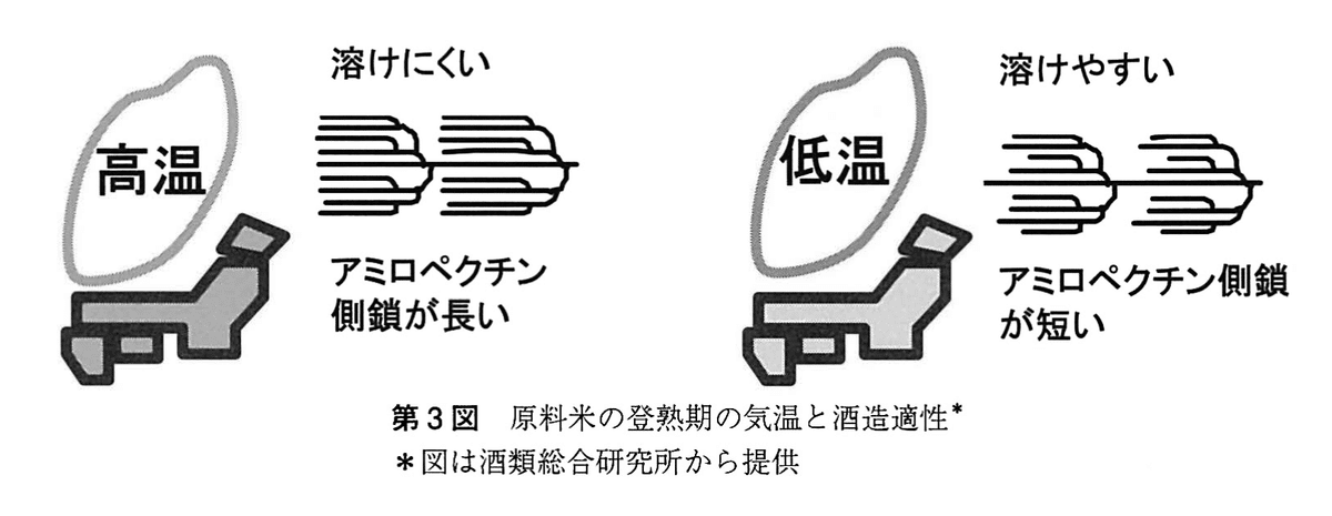 #50 酒造好適米の今後の展望について｜soncho_sake