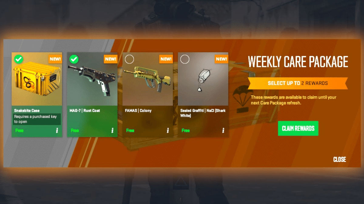 CS2のスキンシステム簡単解説！｜AZULEAT