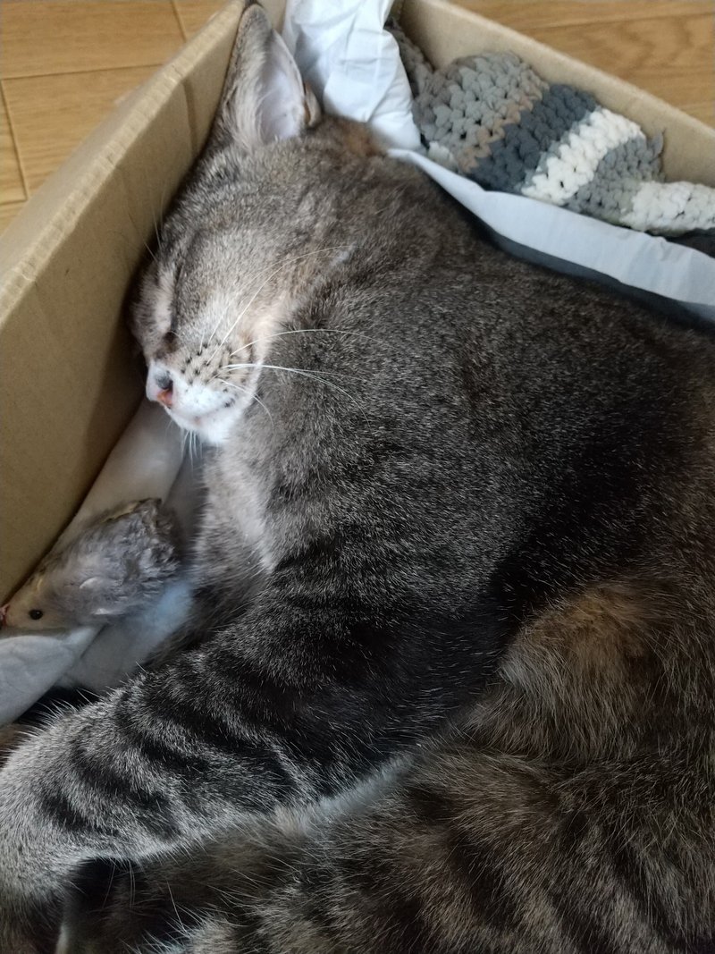 20221004#84｜たにむら