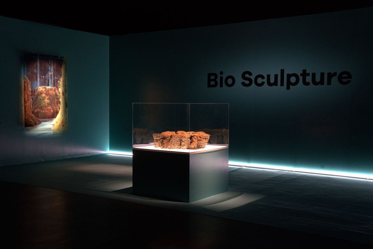 U-15 SF作品コンテスト「よいこのanon press award 2023」座談会｜anon press