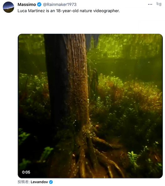 nature videographer｜あい