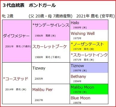 【サウジアラビアRC（G3）】～予想篇｜Haya
