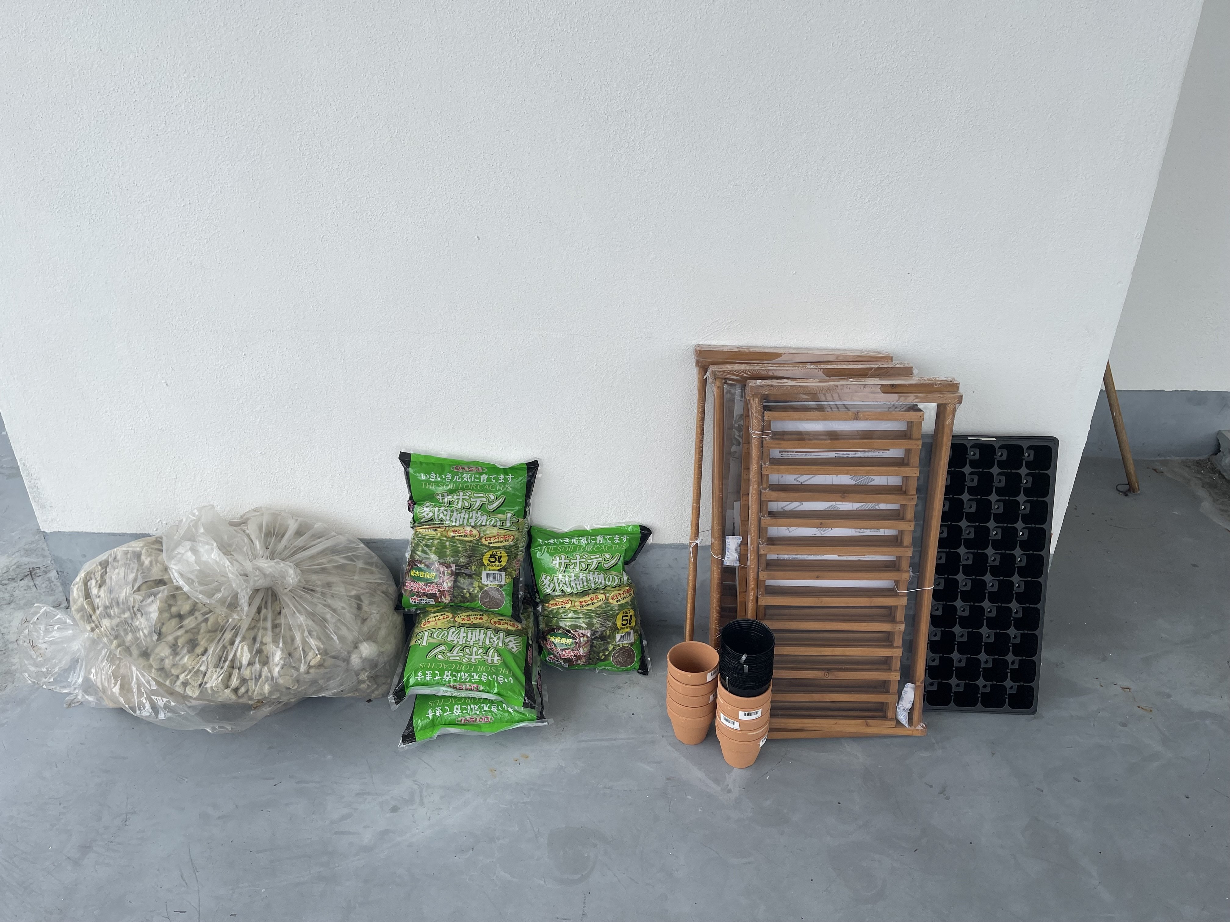 ぽかぽかサビ管 多肉植物育て日記1｜38gi.ryu