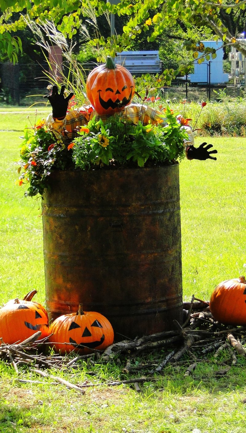 Halloween フラワーパーク江南｜HRSD-note