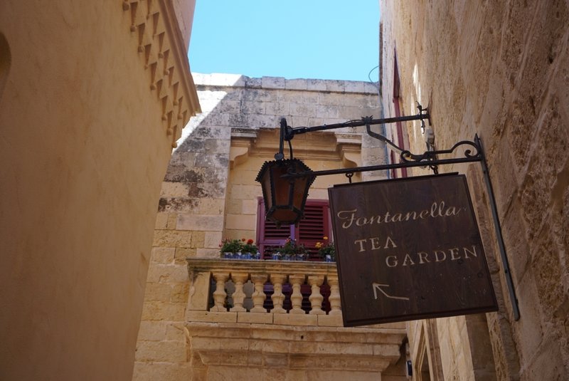 アメリカ留学、留学前にどんな勉強をした？WritingやPhonicsなどをご紹介！｜ ハナ|社会人留学🇺🇸