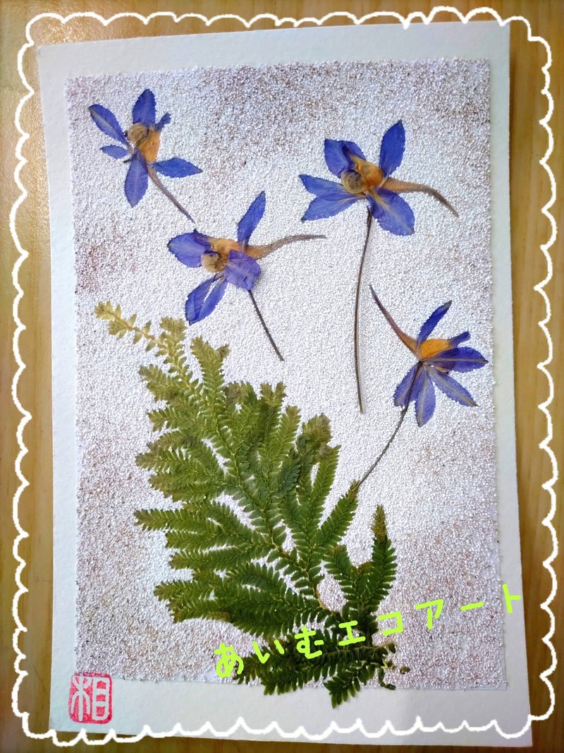 Life Phot｜沙菜子