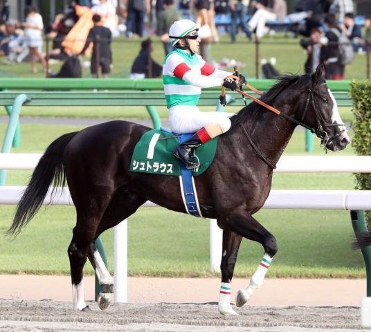 【サウジアラビアRC（G3）回顧~その先へ】血統篇｜Haya