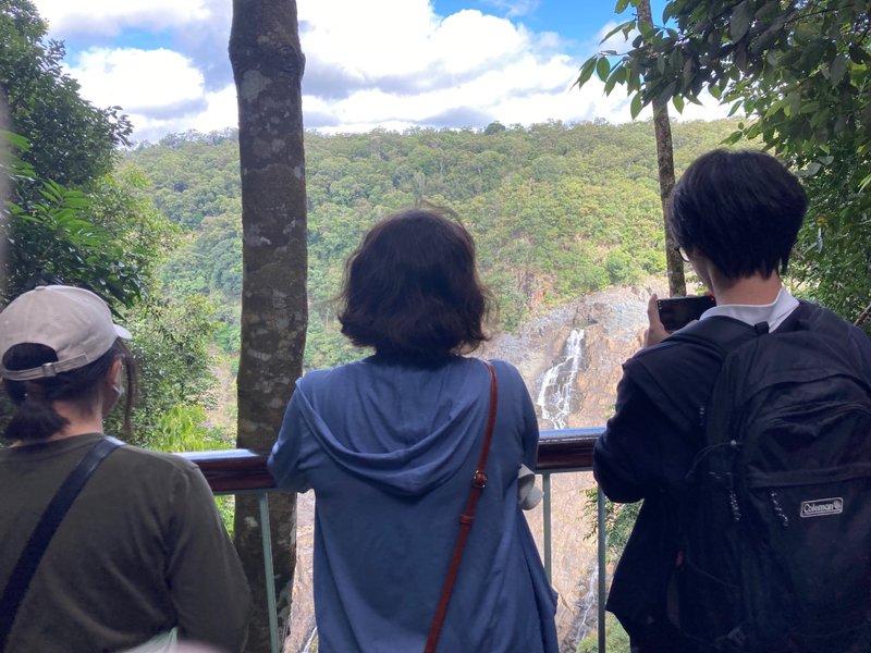 【Cairnsケアンズ㊲本編】アーリーaQuaキュランダツアー＋レインフォレステーション（アーミーダック、ワイルドライフパーク、コアラ抱っこ写真、ランチパック付き）｜cairns55