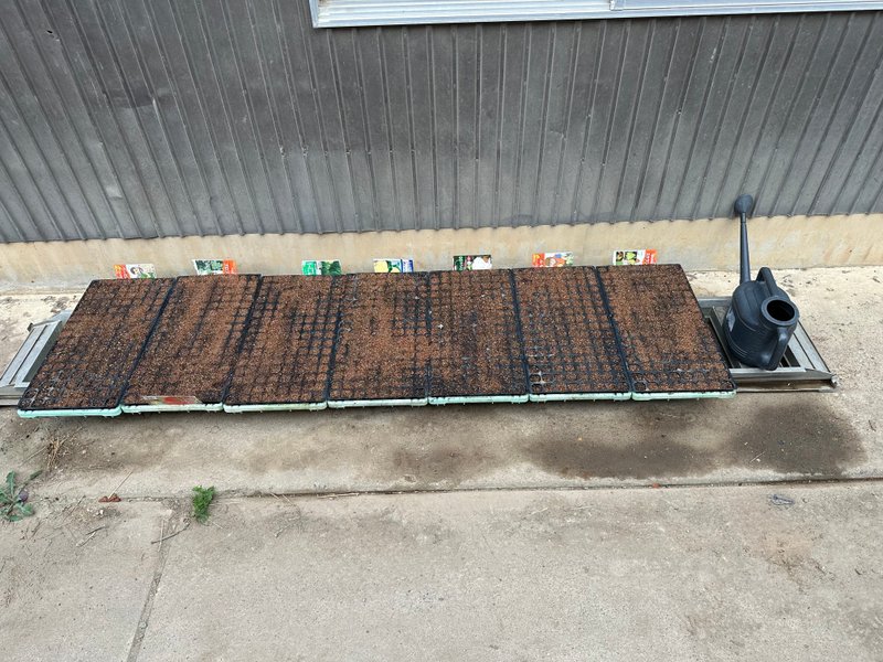 2023/10/12 お野菜み～つけた！ ー苗づくり｜NicePapa 平野 尚志