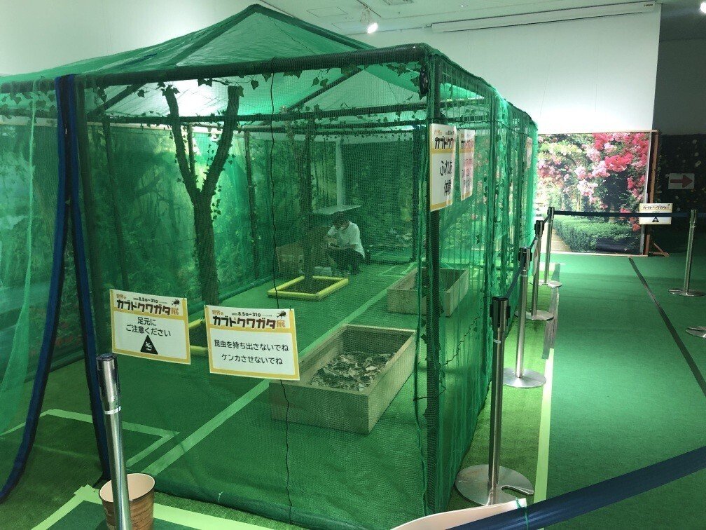 東急線沿線の地域情報を紹介！Vol.1～Grandberry HALL by iTSCOM～｜イッツ・コミュニケーションズ コールセンター採用チーム