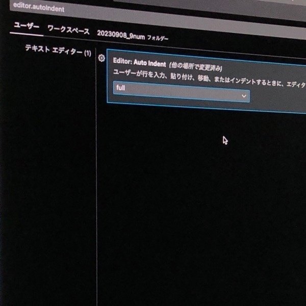 【VSCode】修正 2【開発記】｜SAYKA.