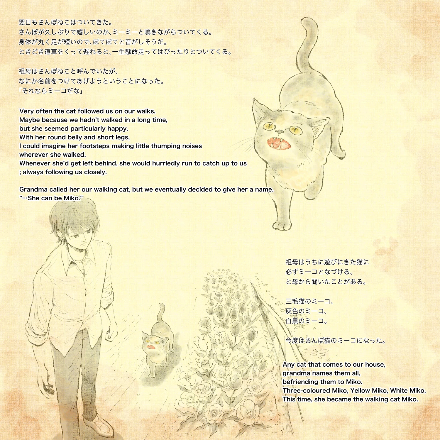 Nine Stars1｜Mikan no Ki Story Channel（AZSA-LAM）