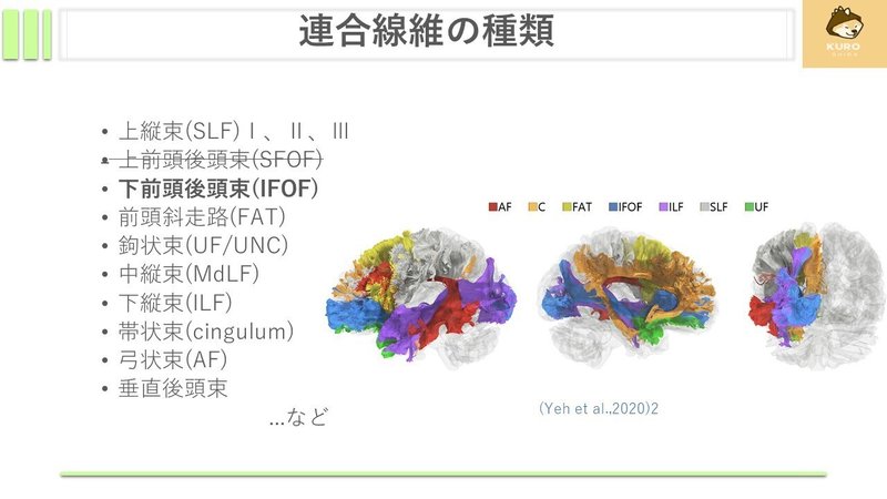 下前頭後頭束(IFOF)について｜くろ 作業療法士